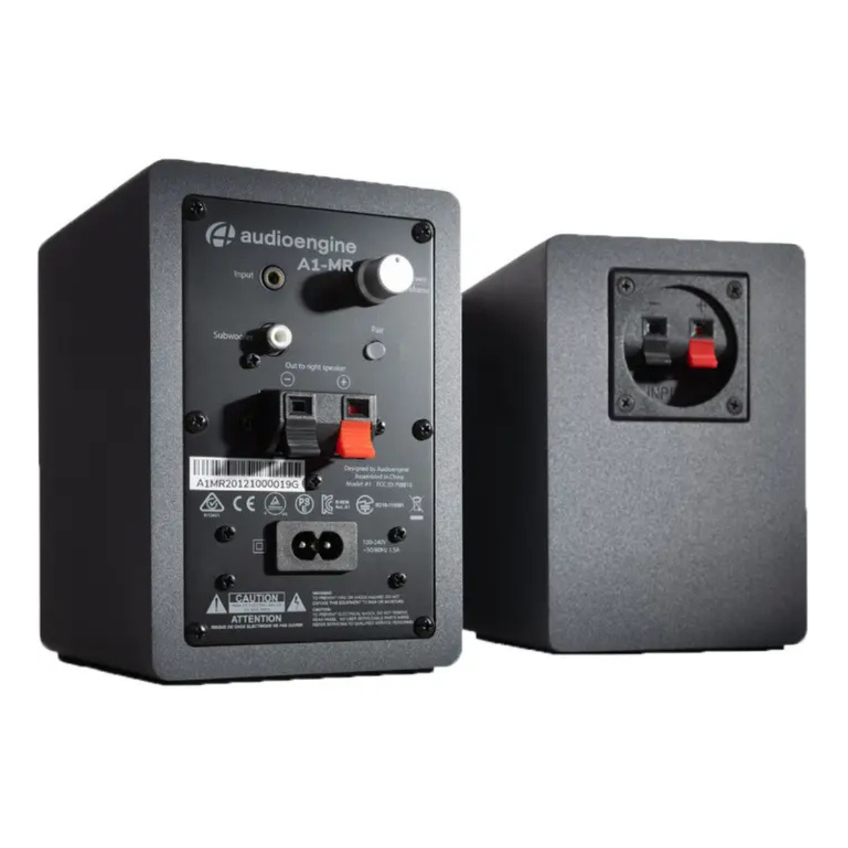 Audioengine A1-MR Multiroom Speakers with DS1 Speaker Stands - BDL-102 ...