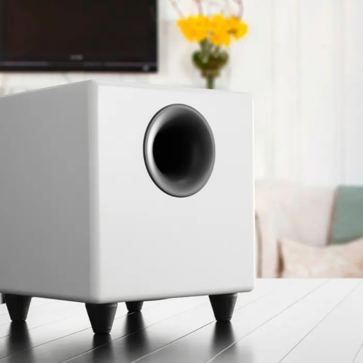 Audioengine A5+ Powered Bookshelf Speakers with S8 Subwoofer - White ...
