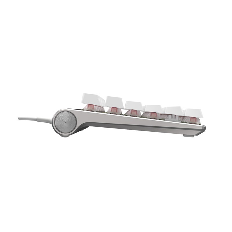 Cherry MX 8.0 RGB Silver/White Mechanical Gaming Keyboard - Cherry MX ...