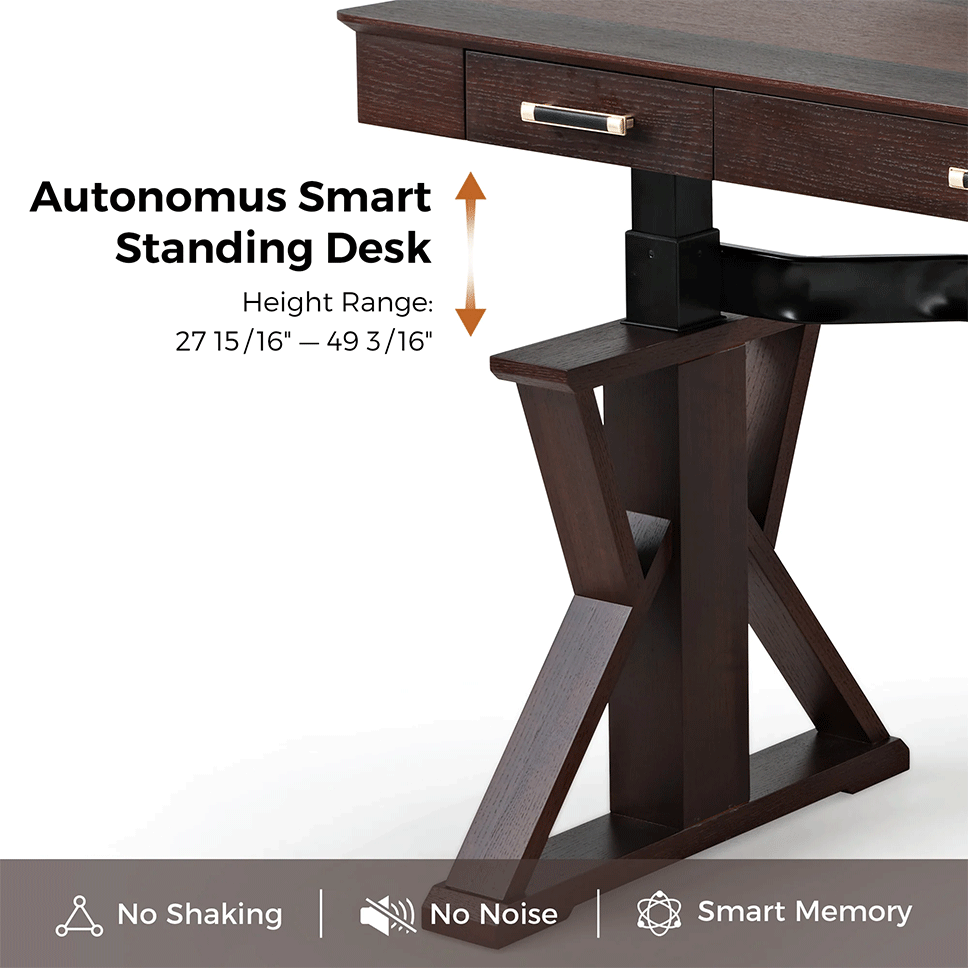 Eureka Ergonomic Ark SWS Pro X63 Executive Standing Desk - Without Brass Strips - ERK-ED-X63-SW ...