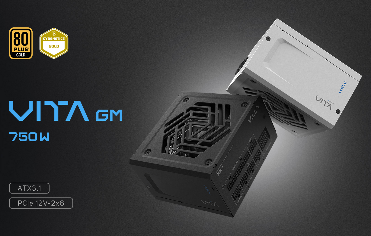 FSP VITA GM 750W 80+ Gold ATX12V V3.1 Fully-Modular Power Supply - VITA ...