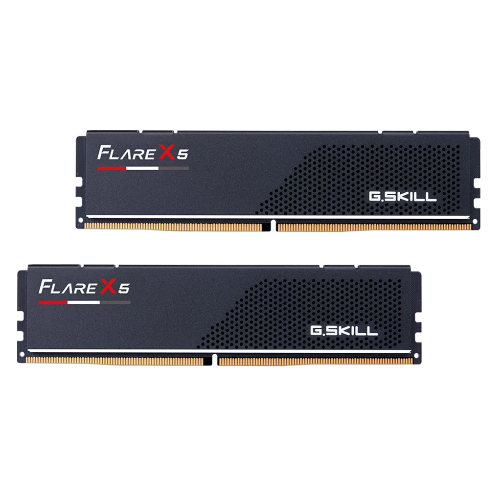 G.Skill Flare X5 16GB (2x8GB) DDR5 6000MHz CL30 EXPO Desktop Memory ...