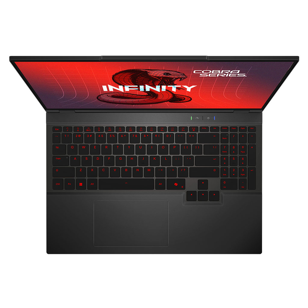 Infinity Cobra 16" 180Hz WQXGA Gaming Laptop Ryzen 9 8940HX 16GB 1TB RTX5060P W11H - Cobra 6 ...