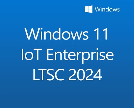 Microsoft Windows 11 IoT Enterprise LTSC 2024 ESD OEI Entry - EP2-07322 | Mwave