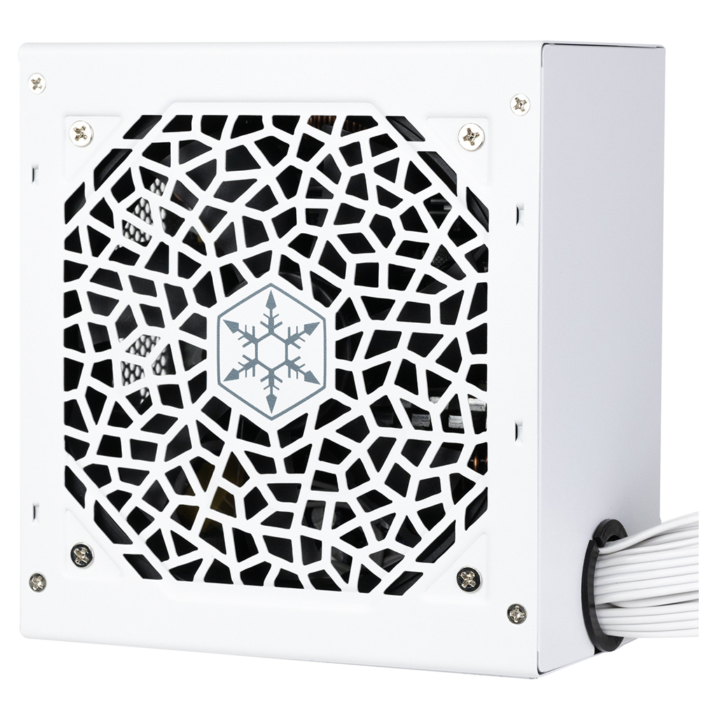 SilverStone ATTIS 650R 650W 80+ Bronze ATX 3.1 Non-Modular Power Supply ...