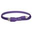 Rode SC21 Purple 30cm USB-C to Lightning Cable - SC21-PU | Mwave