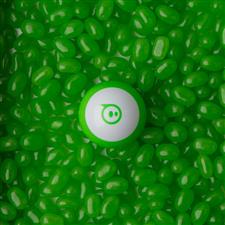 Sphero Mini App-Enabled Robotic Ball - Green - M001GRW | Mwave